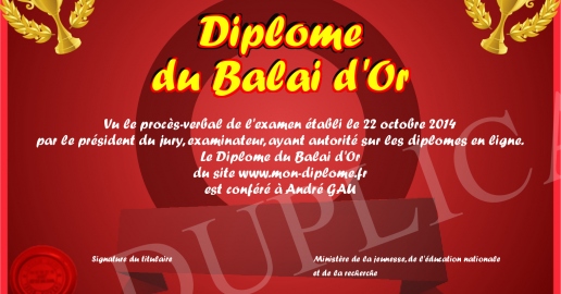 Diplome du Balai d Or