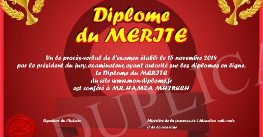 Diplome du MERITE