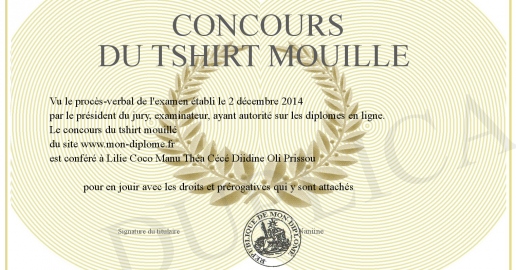 Concours Du Tshirt Mouille