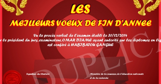 LES MEILLEURS VOEUX DE FIN D ANNEE