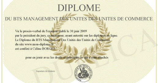 Diplome du BTS Management Des Unites des Unites de Commerce