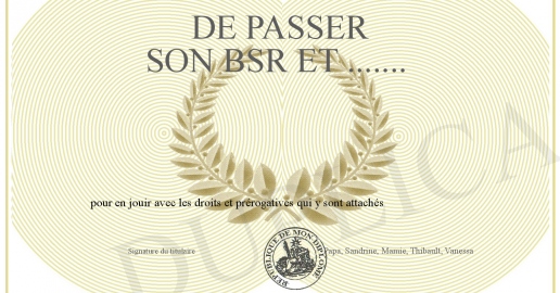 de passer son BSR et .......