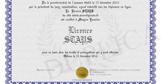 Licence STAPS
