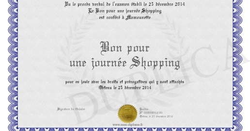 Bon pour une journee Shopping