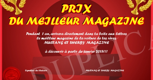 PRIX DU MEILLEUR MAGAZINE