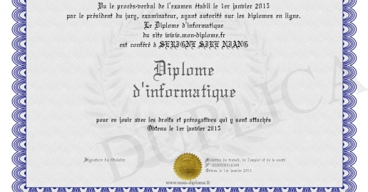 Diplome d informatique