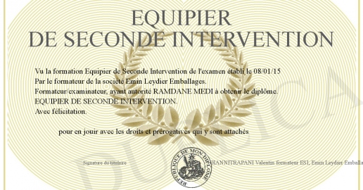 Equipier de Seconde Intervention