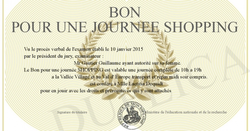 Bon pour une journee SHOPPING