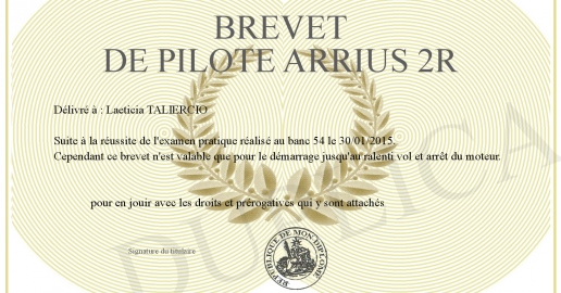 BREVET de pilote ARRIUS 2R
