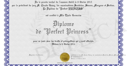 Diplome de -Perfect Princess-