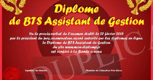 Diplome de BTS Assistant de Gestion