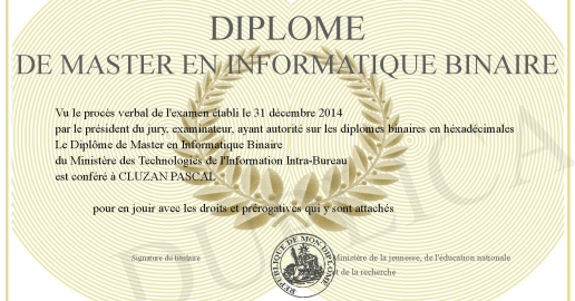 Diplome de master en Informatique Binaire