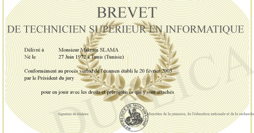 BREVET DE TECHNICIEN SUPERIEUR EN INFORMATIQUE
