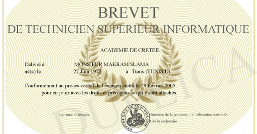 BREVET DE TECHNICIEN SUPERIEUR INFORMATIQUE