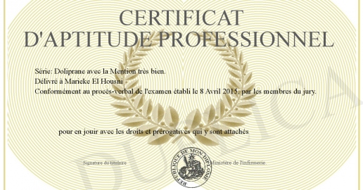 CERTIFICAT D APTITUDE PROFESSIONNEL
