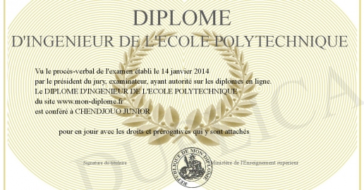 DIPLOME D INGENIEUR DE L ECOLE POLYTECHNIQUE