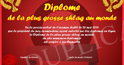 Diplome de la plus grosse shlag au monde