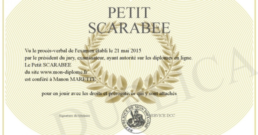 Petit SCARABEE