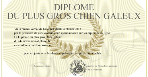 Diplome du plus gros chien galeux