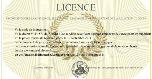 Licence Professionnelle Commerce Specialite : Management et gestion de la relation clients