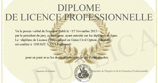 Diplome de Licence Professionnelle