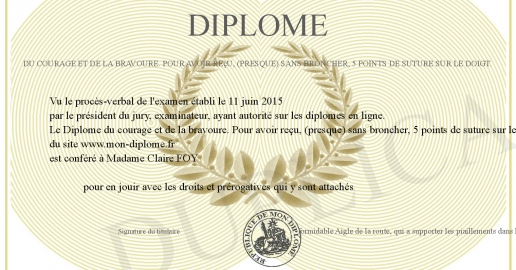 Diplome du courage et de la bravoure. Pour avoir recu (presque) sans ...