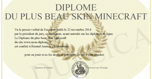 Diplome du plus beau skin Minecraft
