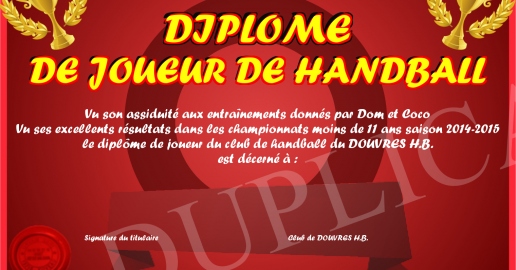 DIPLOME DE JOUEUR DE HANDBALL