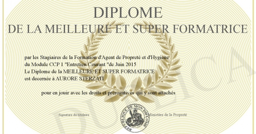 Diplome de la MEILLEURE ET SUPER FORMATRICE