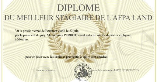 Diplome du meilleur stagiaire de l AFPA LAND