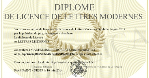 Diplome de Licence De Lettres Modernes