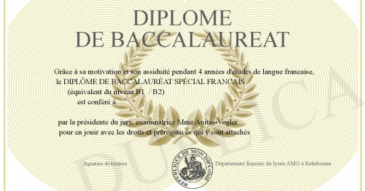 Diplome de baccalaureat
