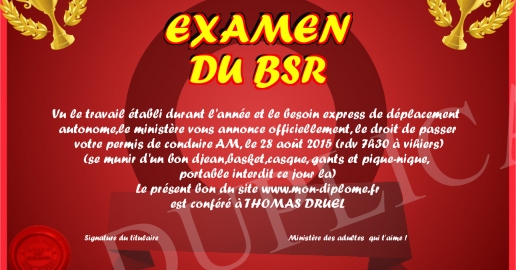 EXAMEN DU BSR