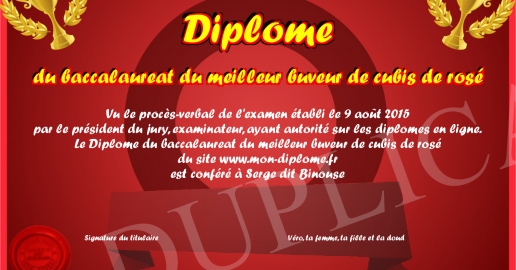 Diplome du baccalaureat du meilleur buveur de cubis de rose