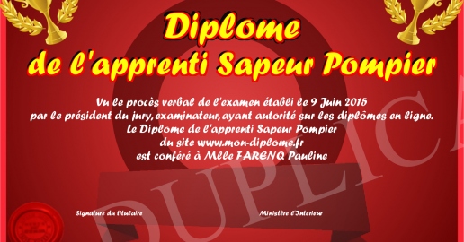 Diplome de l apprenti Sapeur Pompier