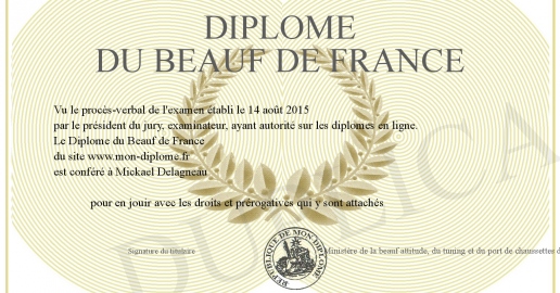 Diplome du Beauf de France