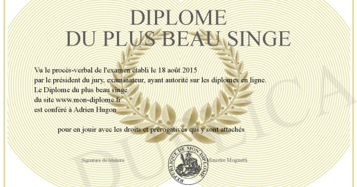 Diplome du plus beau singe