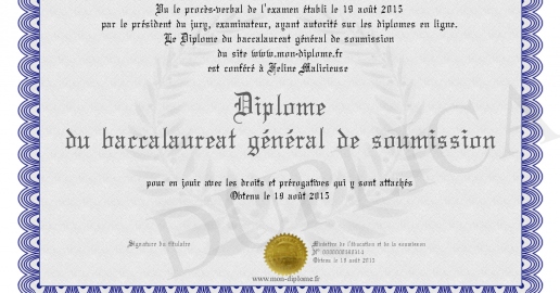 Diplome du baccalaureat general de soumission