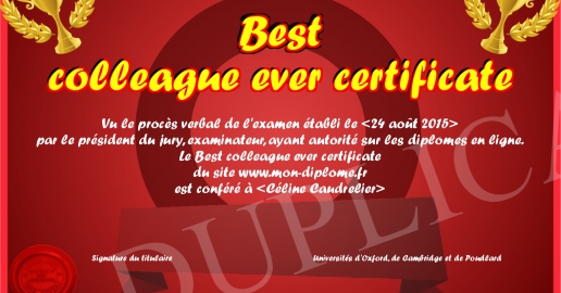 Best colleague ever certificate