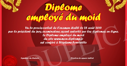 Diplome employe du moid