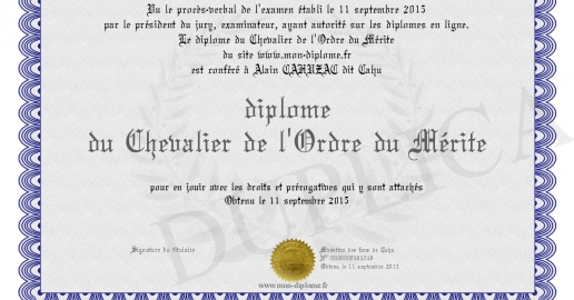 diplome du Chevalier de l Ordre du Merite