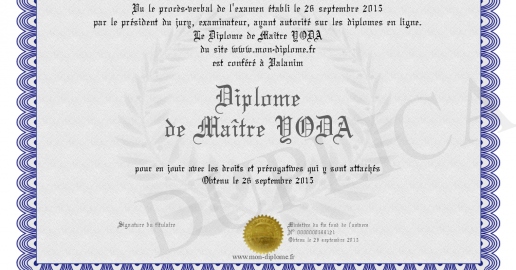 Diplome de Maitre YODA