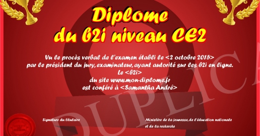 Diplome du b2i niveau CE2