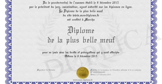 Diplome de la plus belle meuf