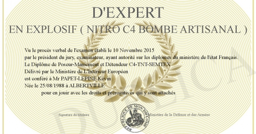 D expert en explosif ( nitro C4 bombe artisanal )