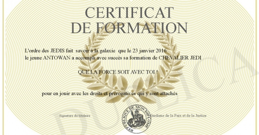 CERTIFICAT DE FORMATION