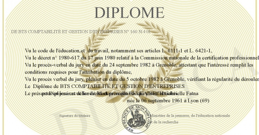 Diplome de BTS COMPTABILITÉ ET GESTION D ENTREPRISES N° 160 314 01