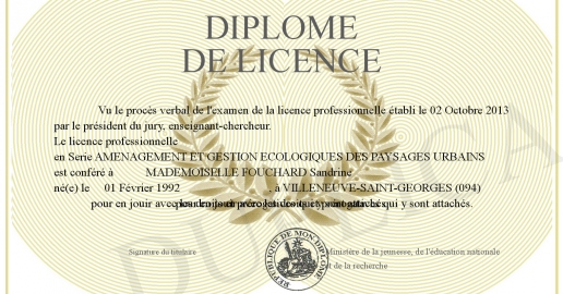 Diplome de licence