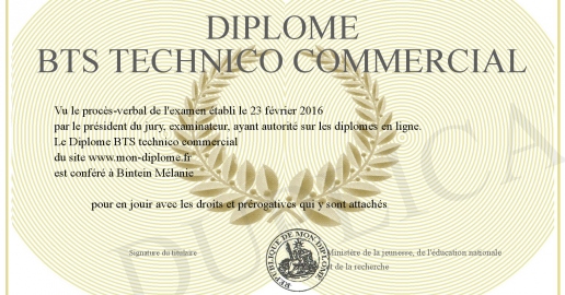 Diplome BTS technico commercial