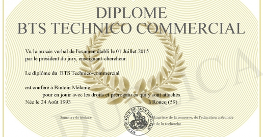 Diplome BTS technico commercial